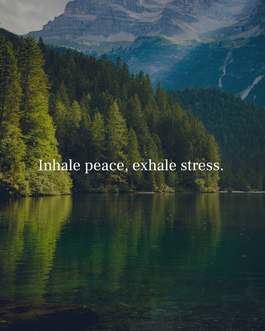 50 Peace Captions for Instagram - Katie Harp Creative